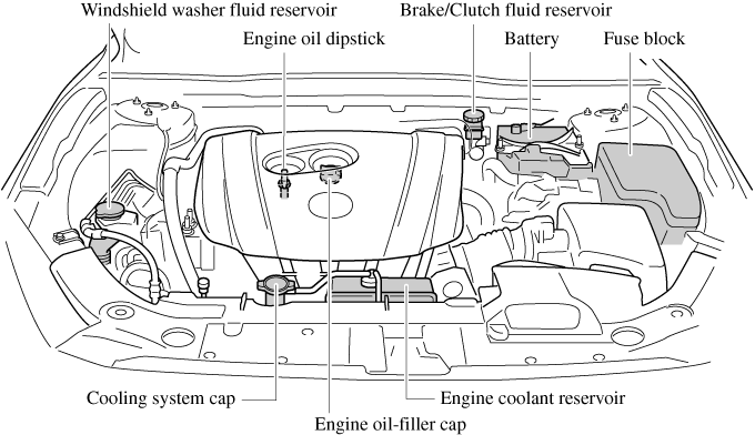 Engine Compartment Overview