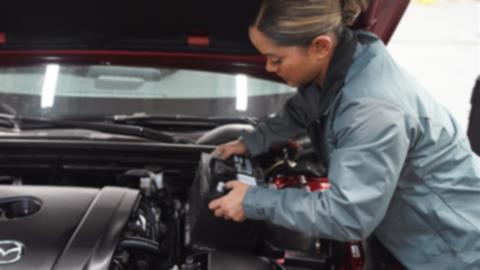 Mazda Winter Service | Contact Your Mazda Retailer | Mazda Canada
