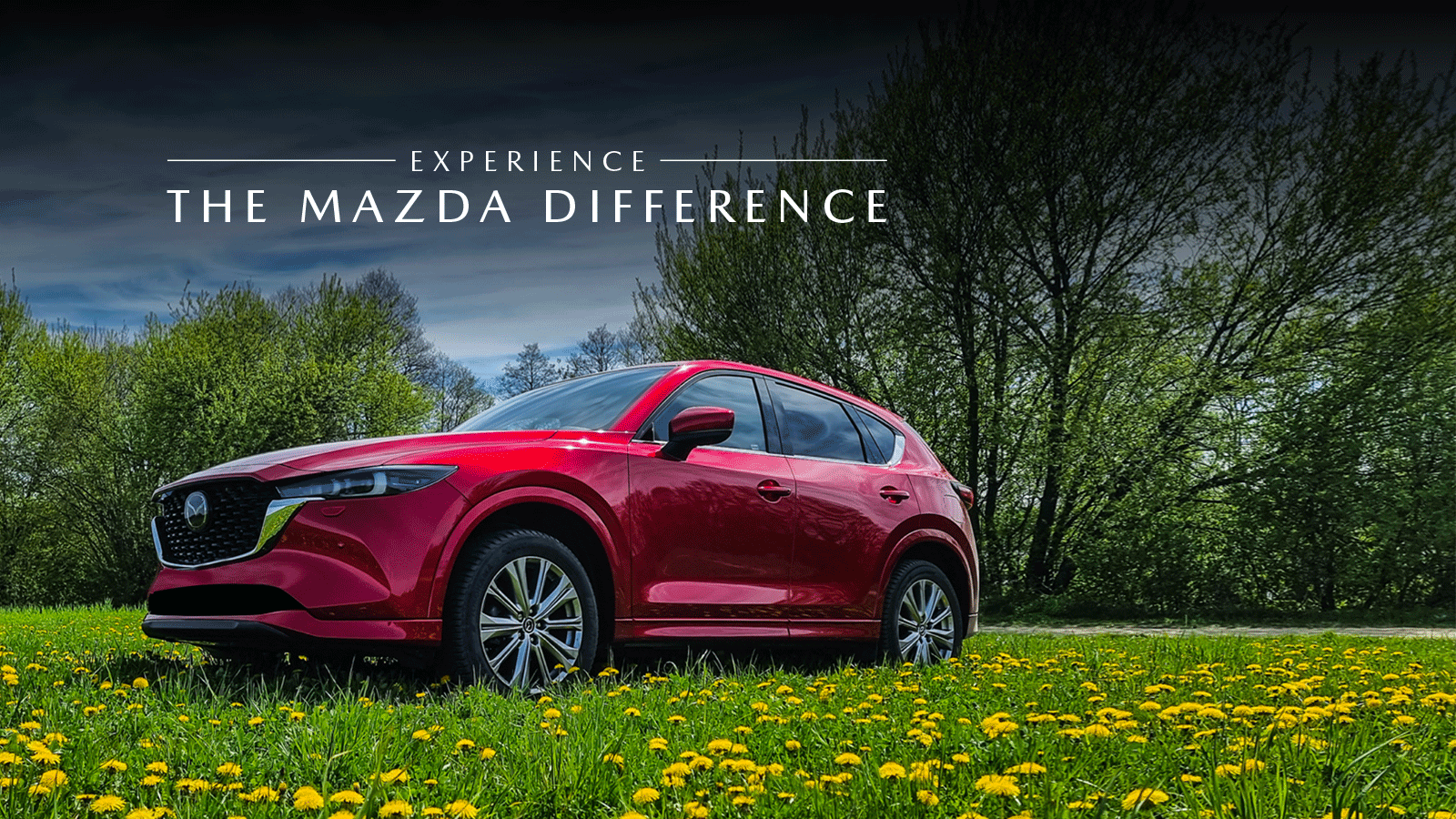 Experience The Mazda Difference | Contact Your Mazda Retailer | Mazda ...