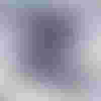 Leasing your next Mazda: Benefits and how to | Mazda Canada