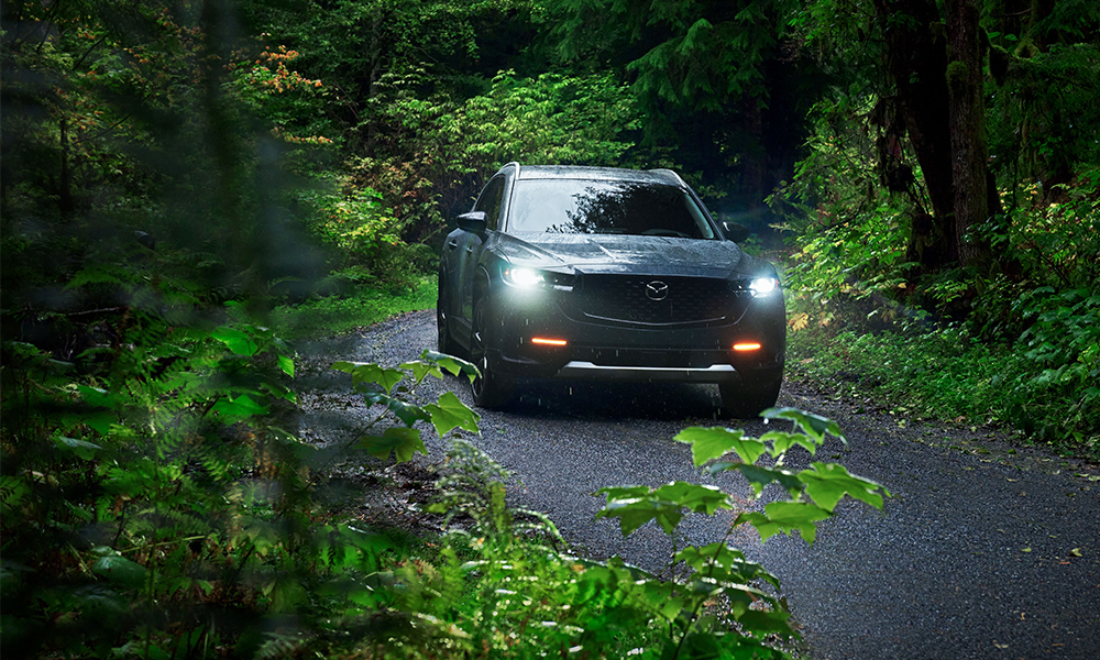 Mazda Live Group Tour